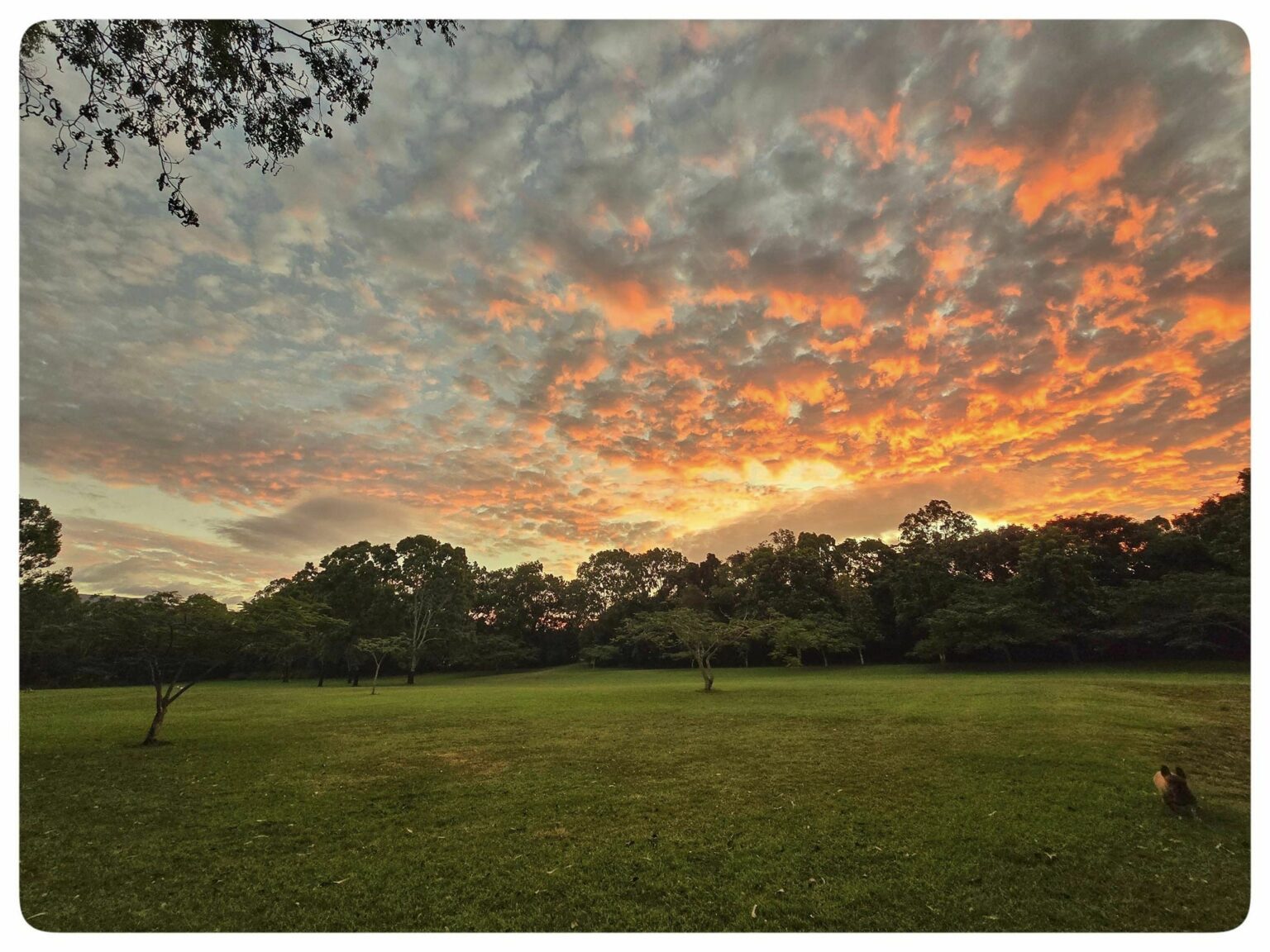 Crystal Creek Caravan Park | Kui Parks - Mutarnee - QLD - Kui Parks